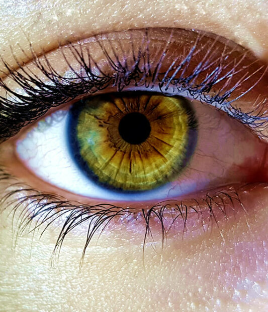 How to Protect Your Eyes From Extended Screen Time | ShineSheets ...